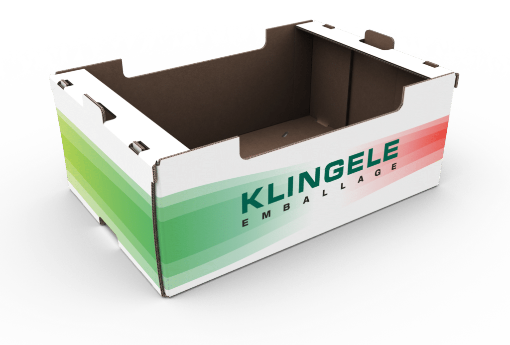 Mini BIG BOX 360KG and BIG BOX 500Kg boxes - Bulk Export | Boxes For Fruit