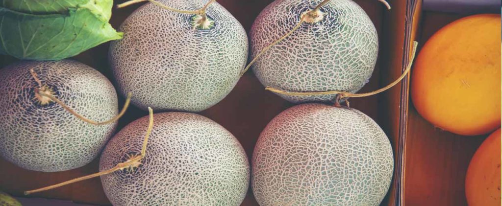 Melon boxes | Boxes For Fruit