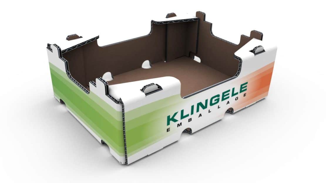 Boxes For Grapes | Boxes For Fruit . The best packaging for you fruits.