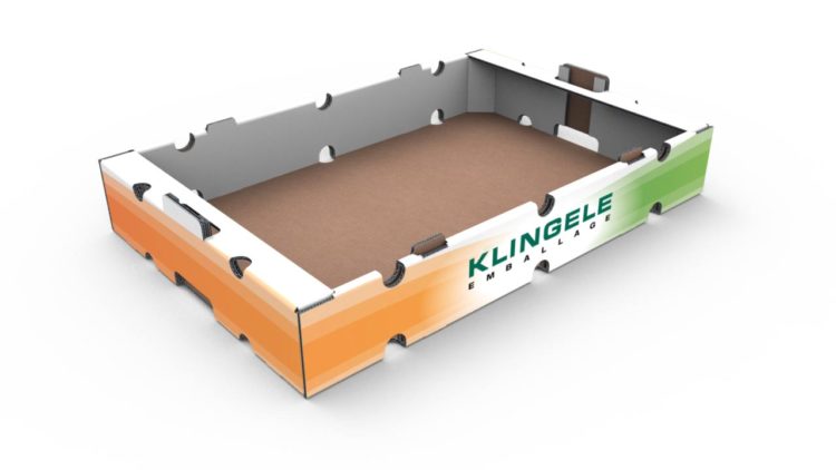 Boxes For Grapes | Boxes For Fruit . The best packaging for you fruits.