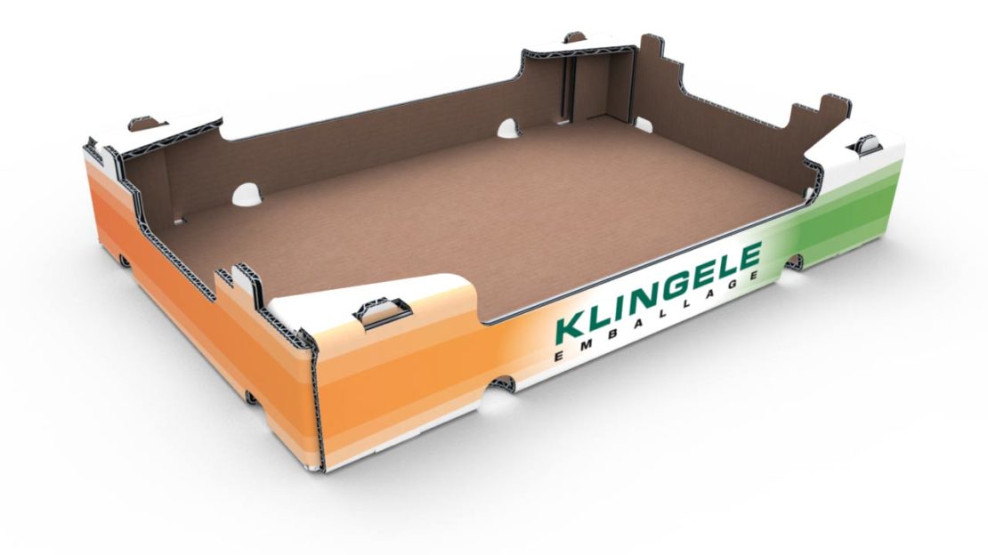 Boxes For Grapes | Boxes For Fruit . The best packaging for you fruits.