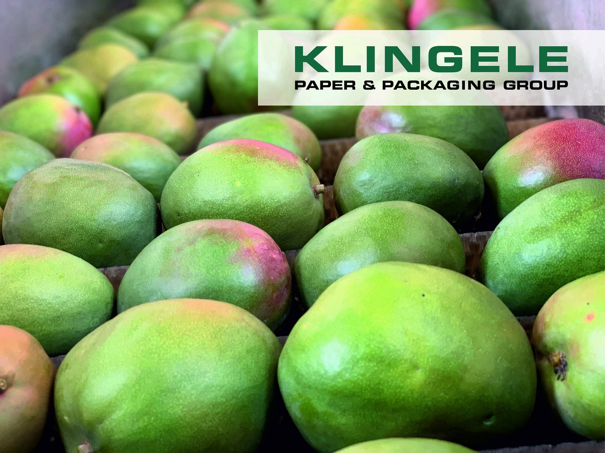 Packing box for mango | Boxes For Fruit